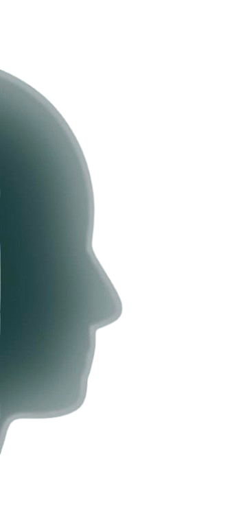 MentalPlace - Thérapie en ligne et soutien psychologique par IA 24h/7j